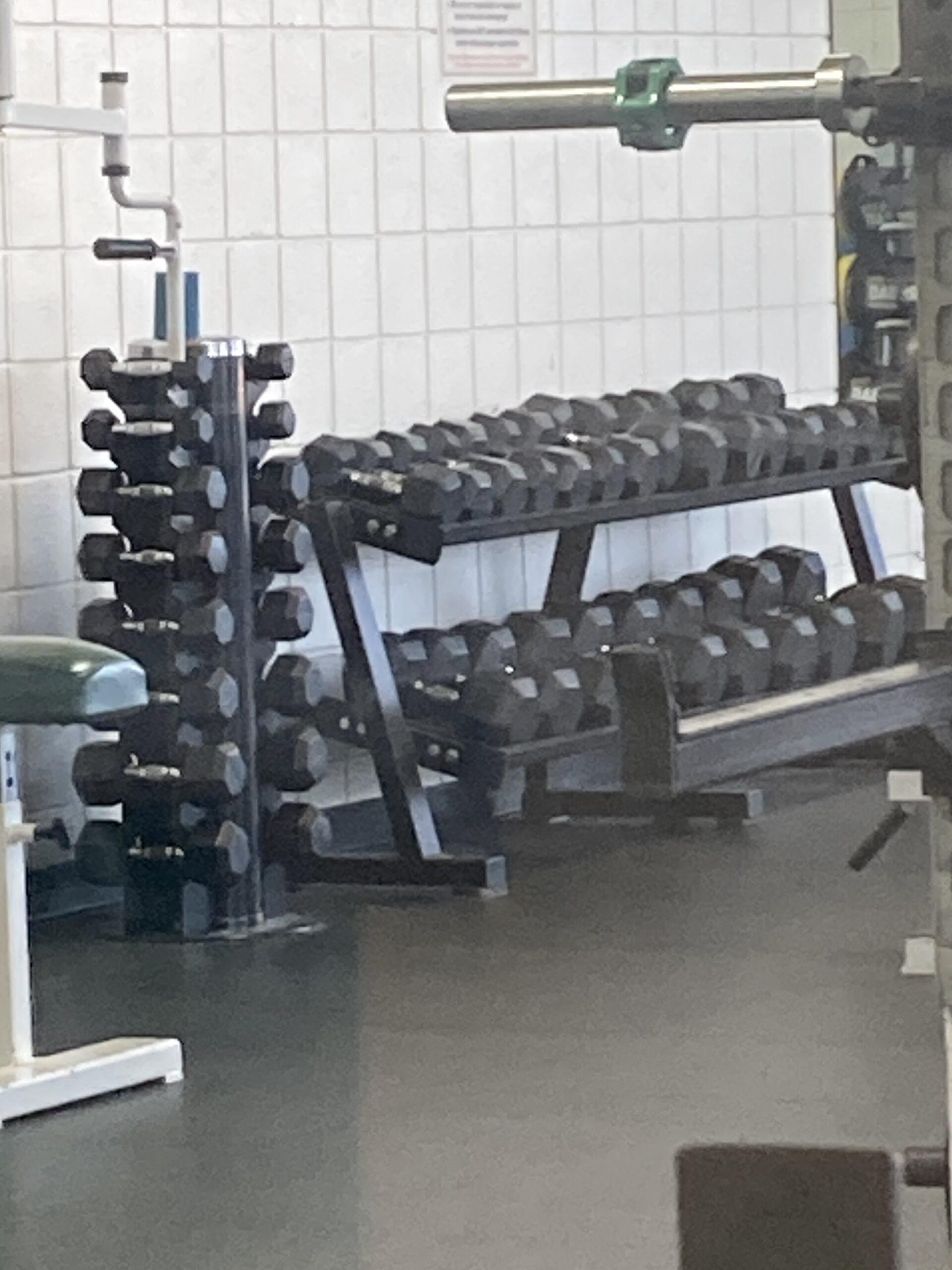 Penn-Trafford sports teams train offseason - The Warrior